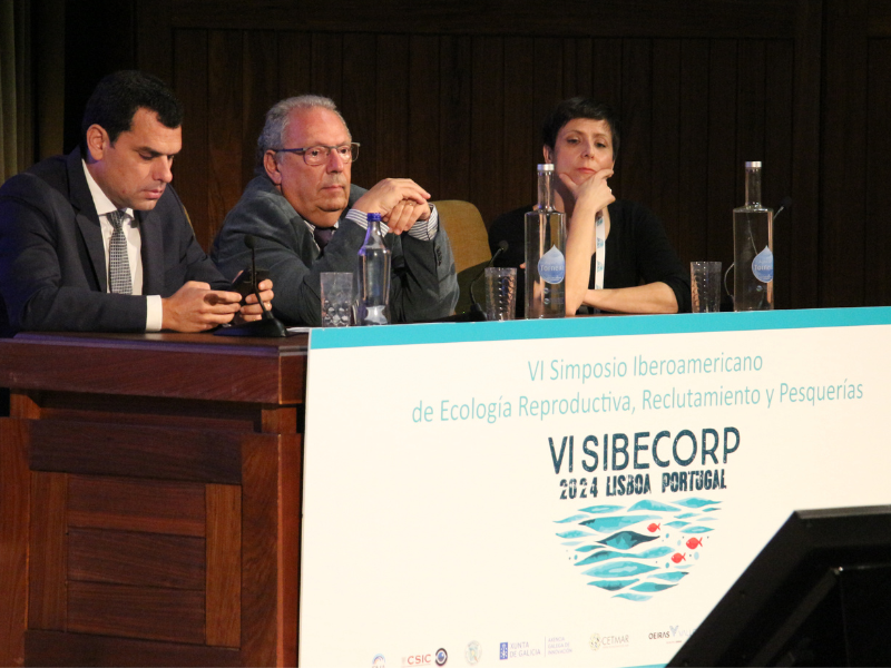 Instituto Português do Mar e da Atmosfera