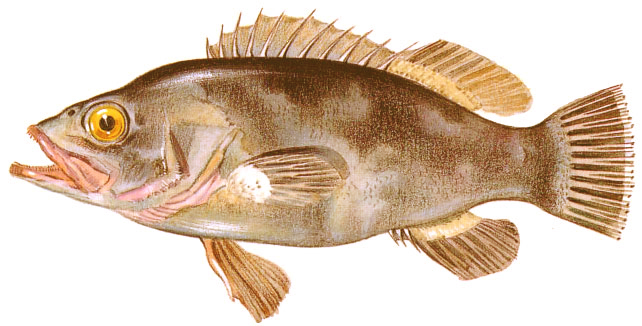 Untitled Document [www.ipma.pt]