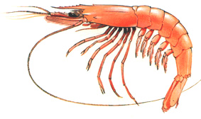 Untitled Document [www.ipma.pt]